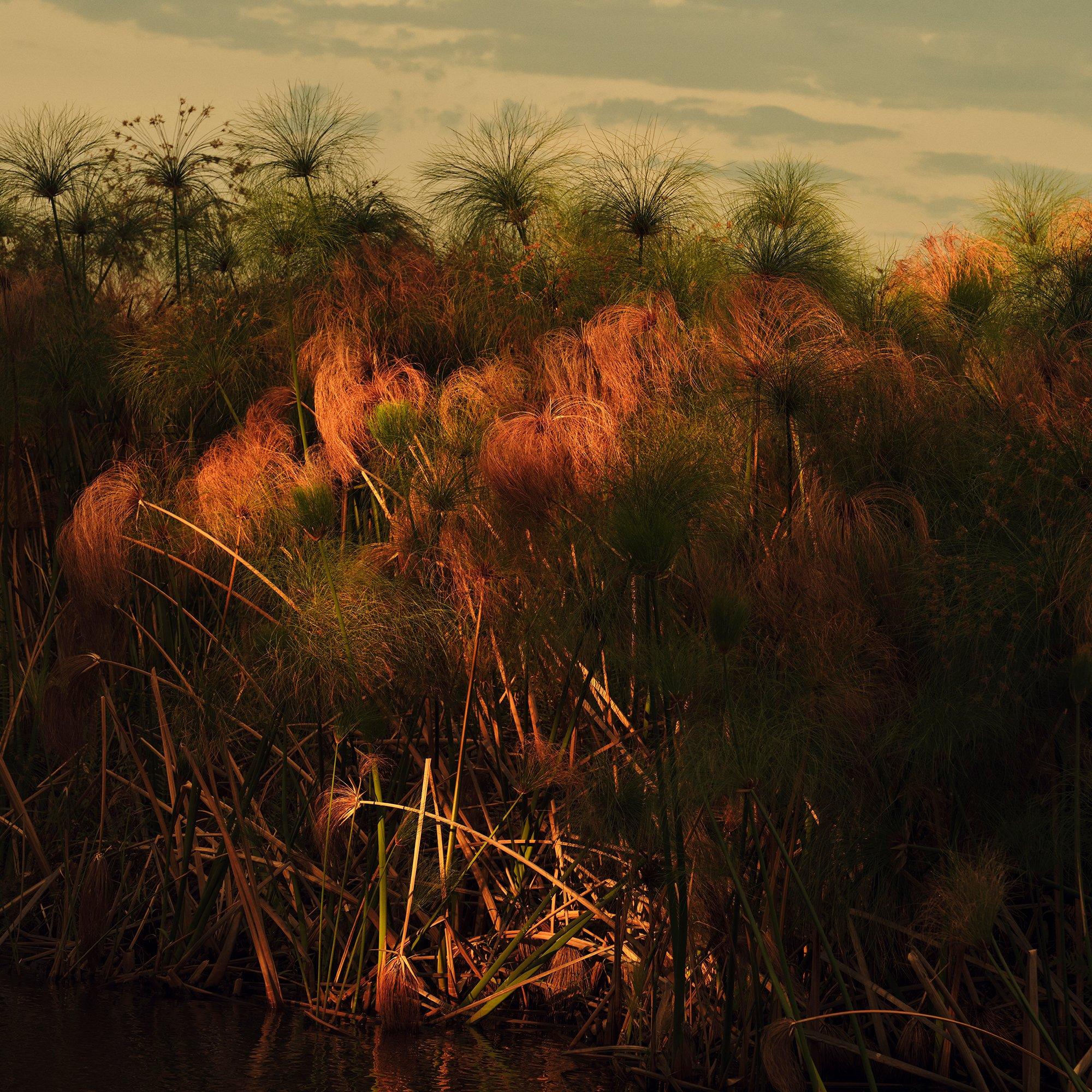 World of De Beers: Every diamond is a miraculous gift from nature | De ...